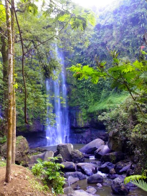 Learn from around: @Curug Panganten