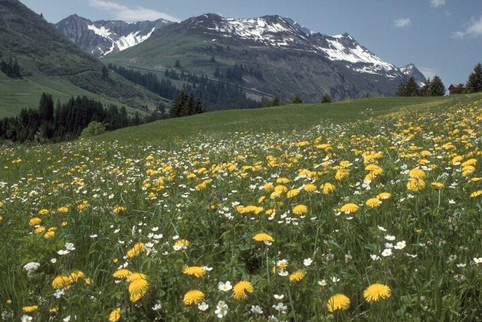 Ecosistemas frágiles de Ecuador – Información de la Biodiversidad de ...