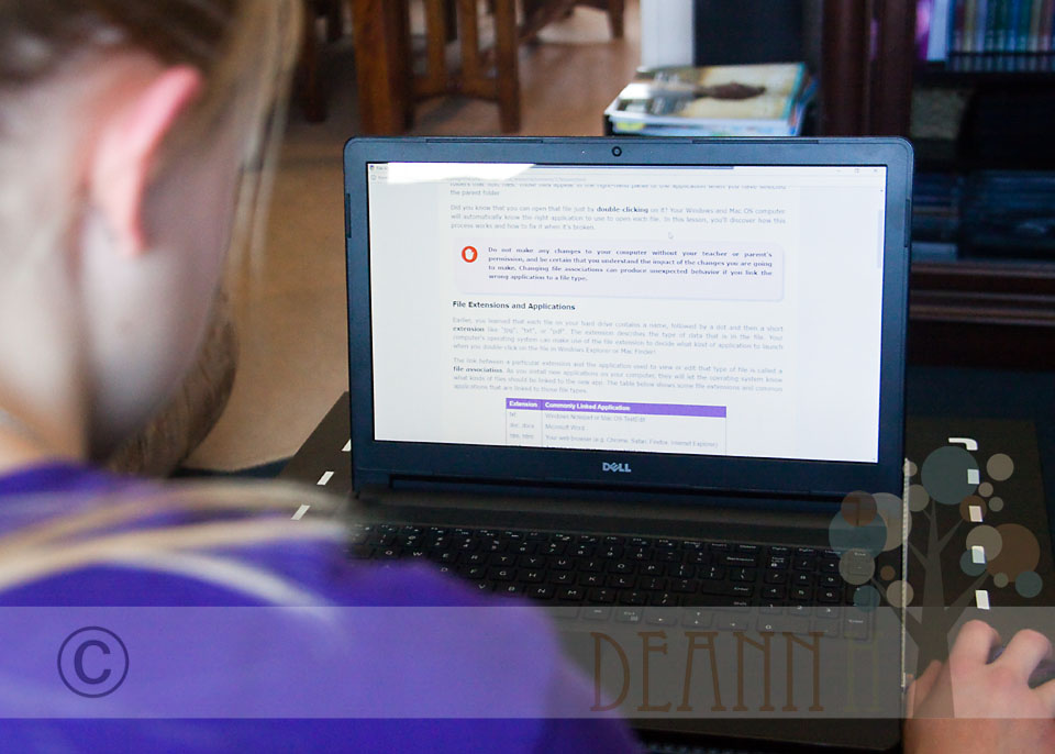 As We Bloom: "Digital Savvy" Review: A Computer Literacy Course
