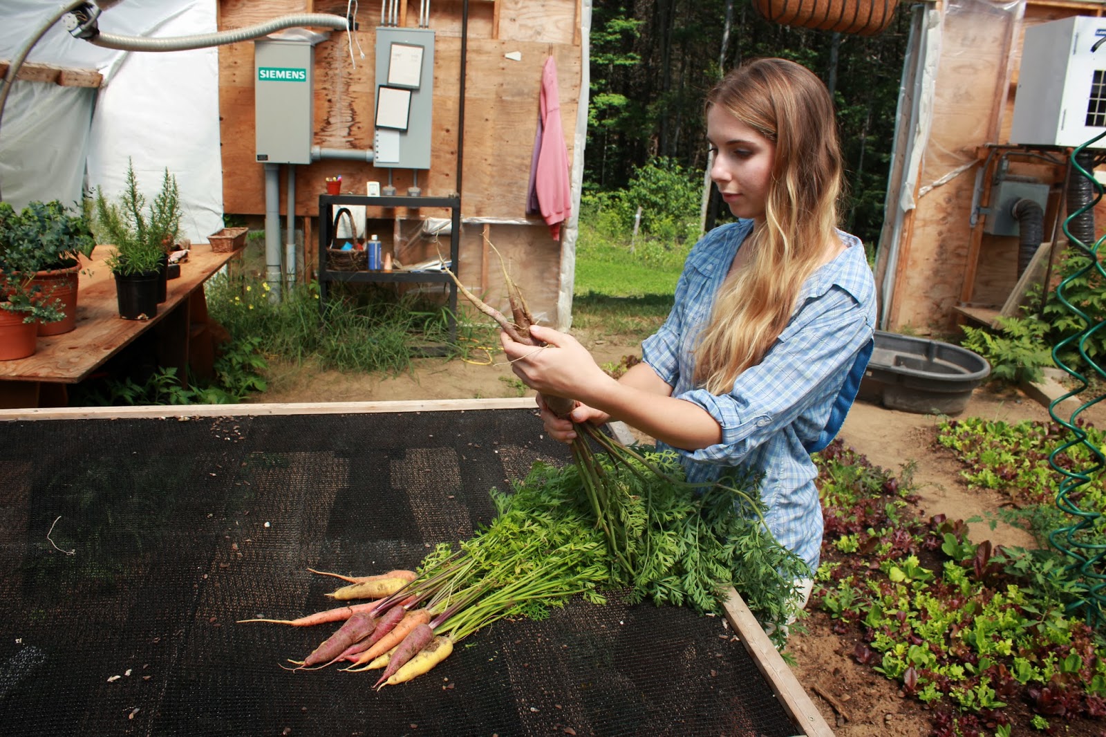 Farm 2 Fork: Revisiting Generation Farm