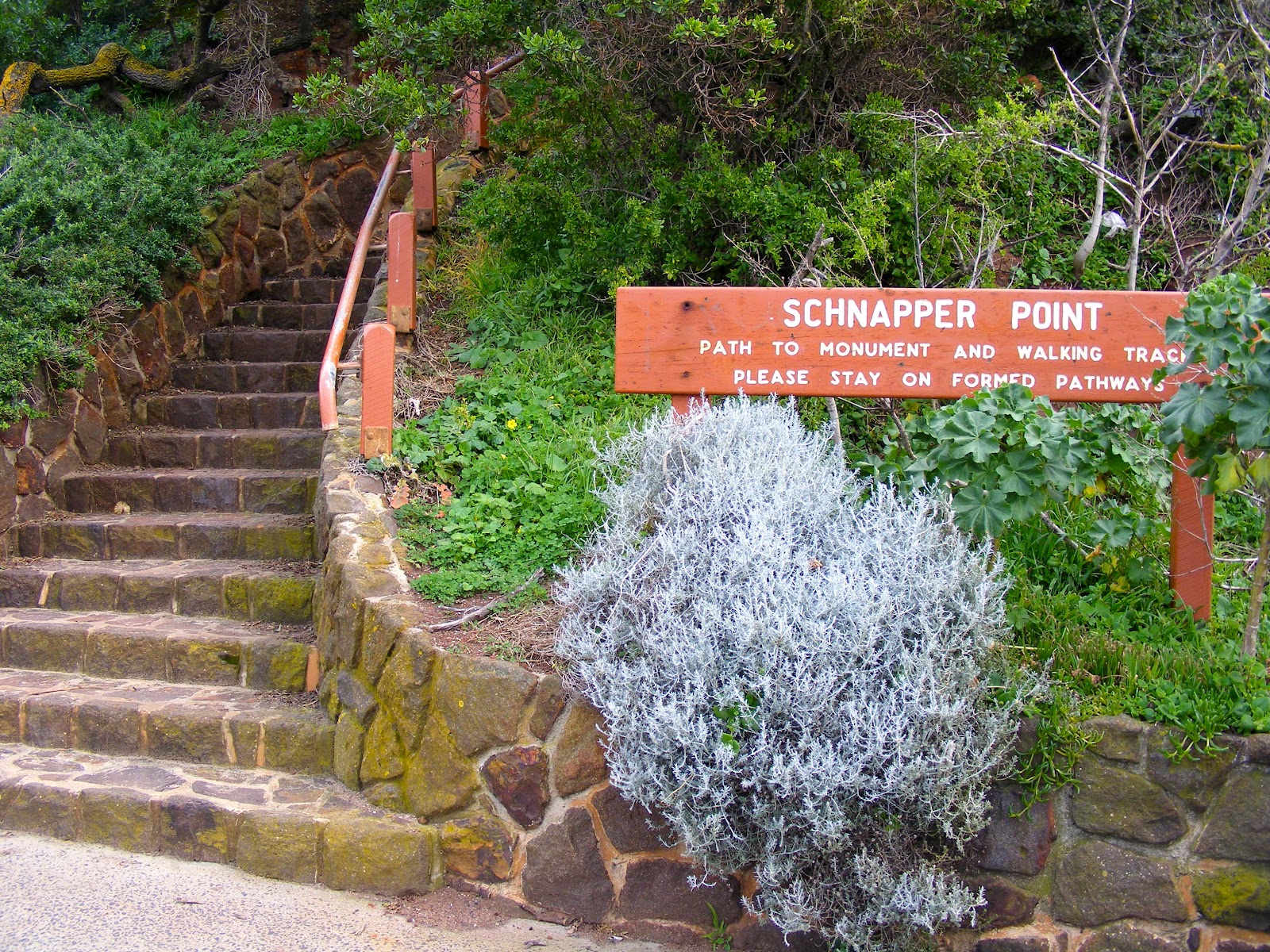 TRENTHAM TALES: Schnapper Point - Mornington