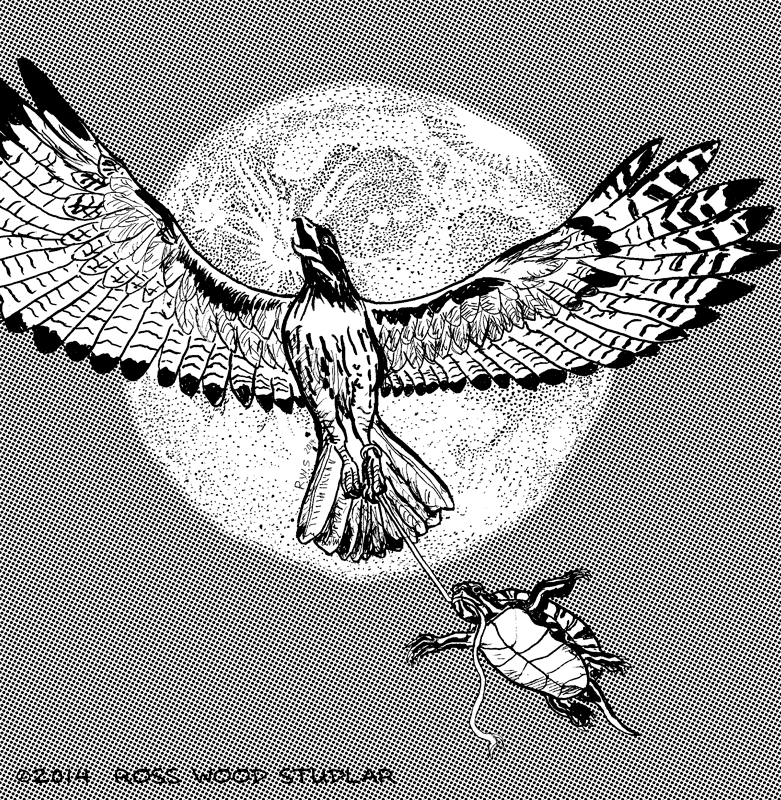 A Voice from the Wood: The Hawk and the Flying Turtle