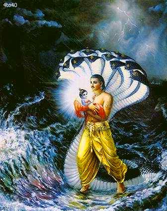 Vasudeva - JungleKey.fr Image #200