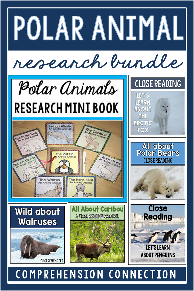 Building Questioning Skills with Winter Research | Comprehension Connection