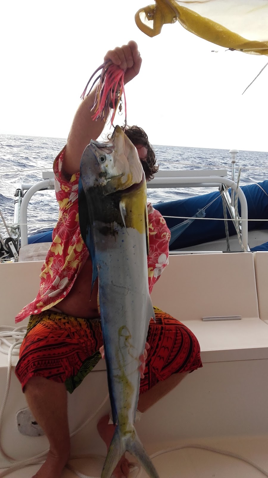 Lazarina des Océans