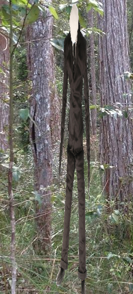 Funky Pop! Funko figures.: Off topic: Slender Man: Plush Toy