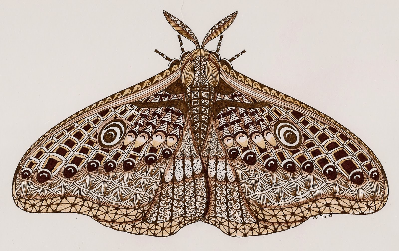 Adri: moth