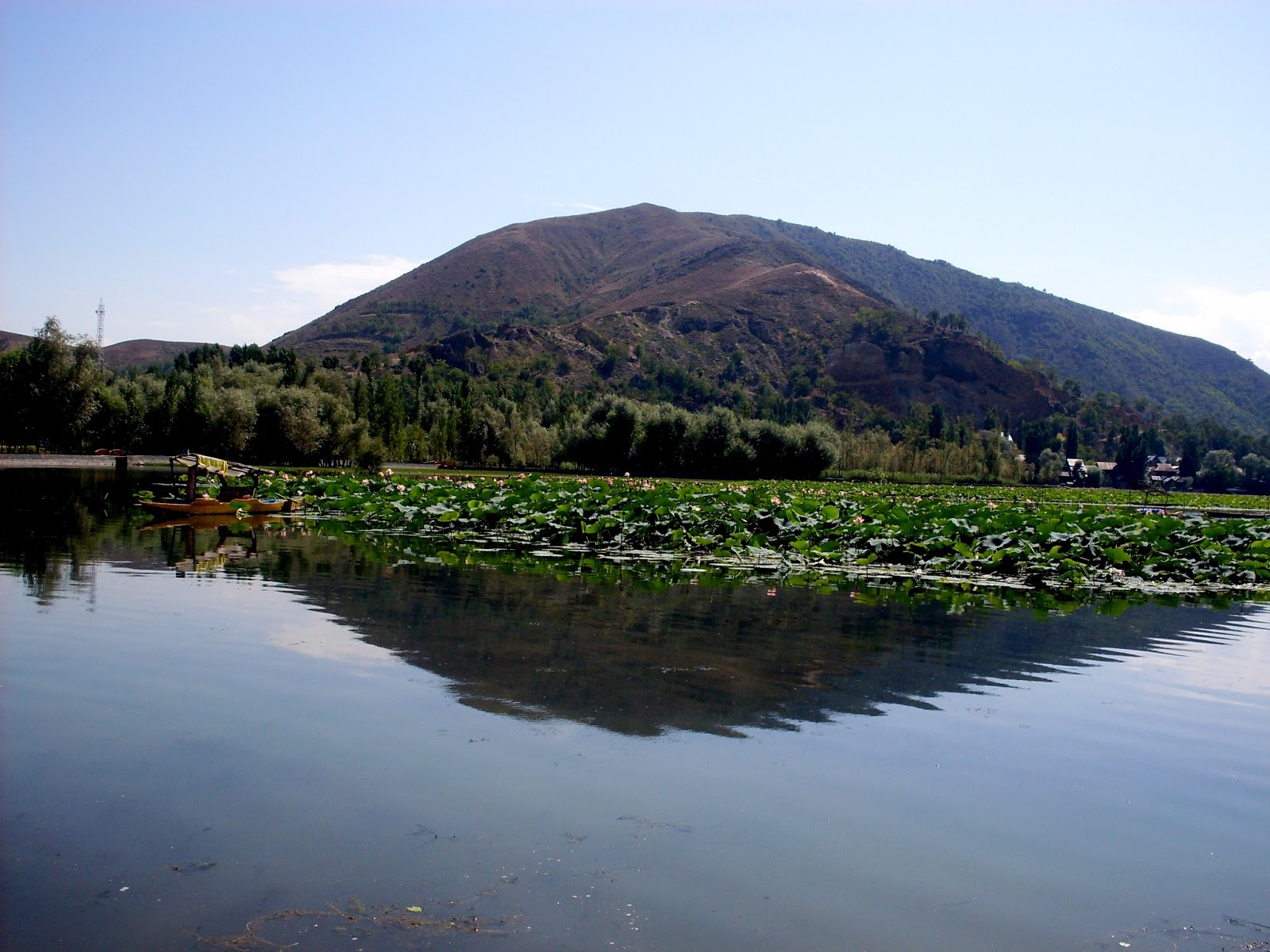 CHINAR SHADE : FOUR VIEWS OF MANASBAL LAKE OF KASHMIR AND A QUATRAIN IN ...