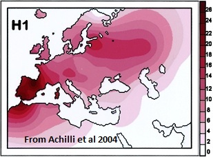 Eastern Black Sea DNA: Trabzon mtDNA Haplogroups