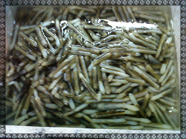 Historie Le Da Via: Pepahat