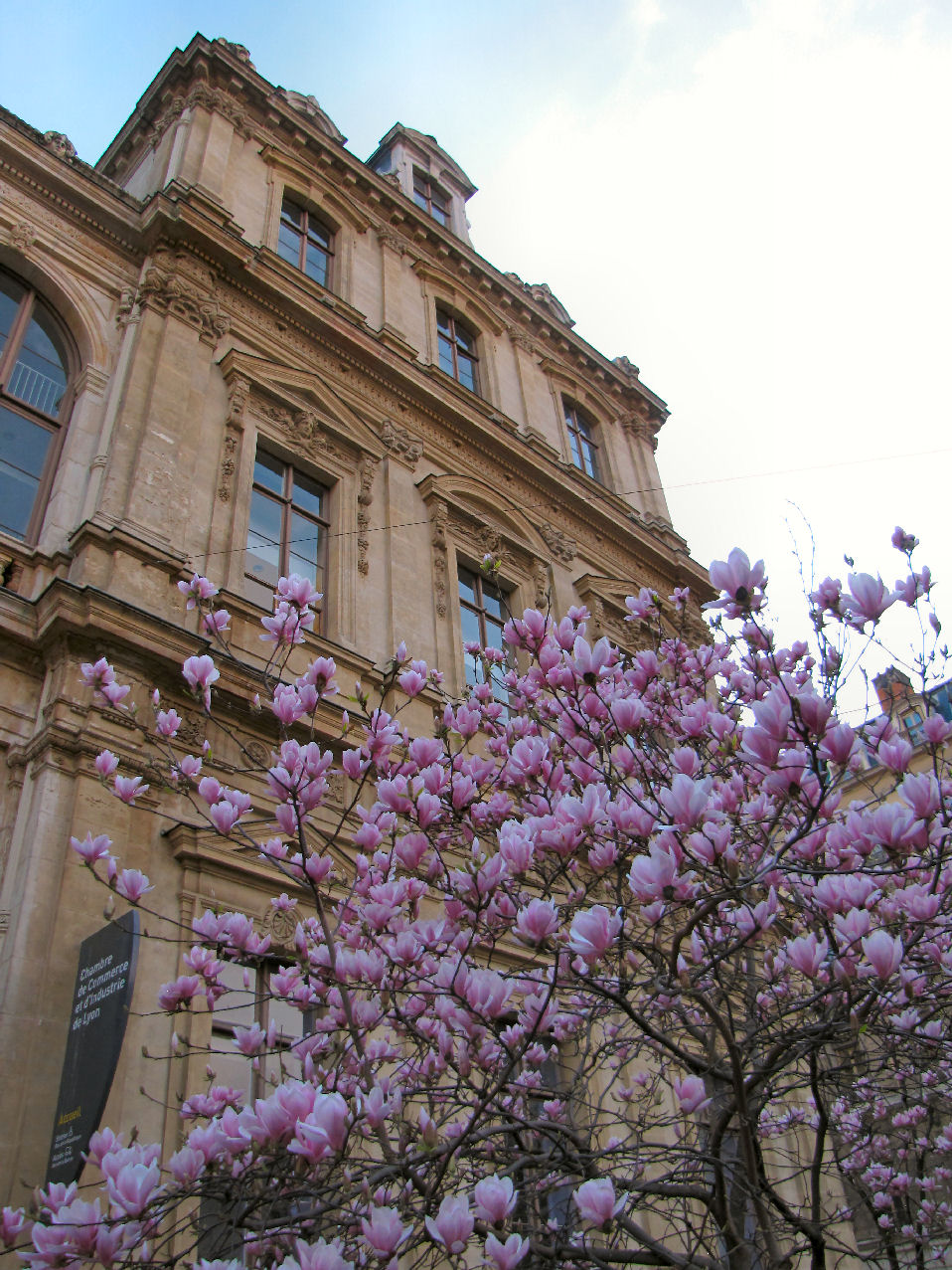Femme au foyer: Lyon, version printemps