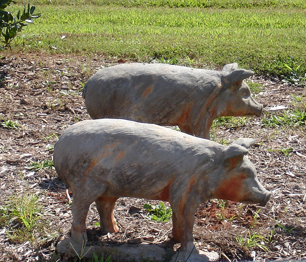 Blue Starr Gallery: Spotted Pig BBQ