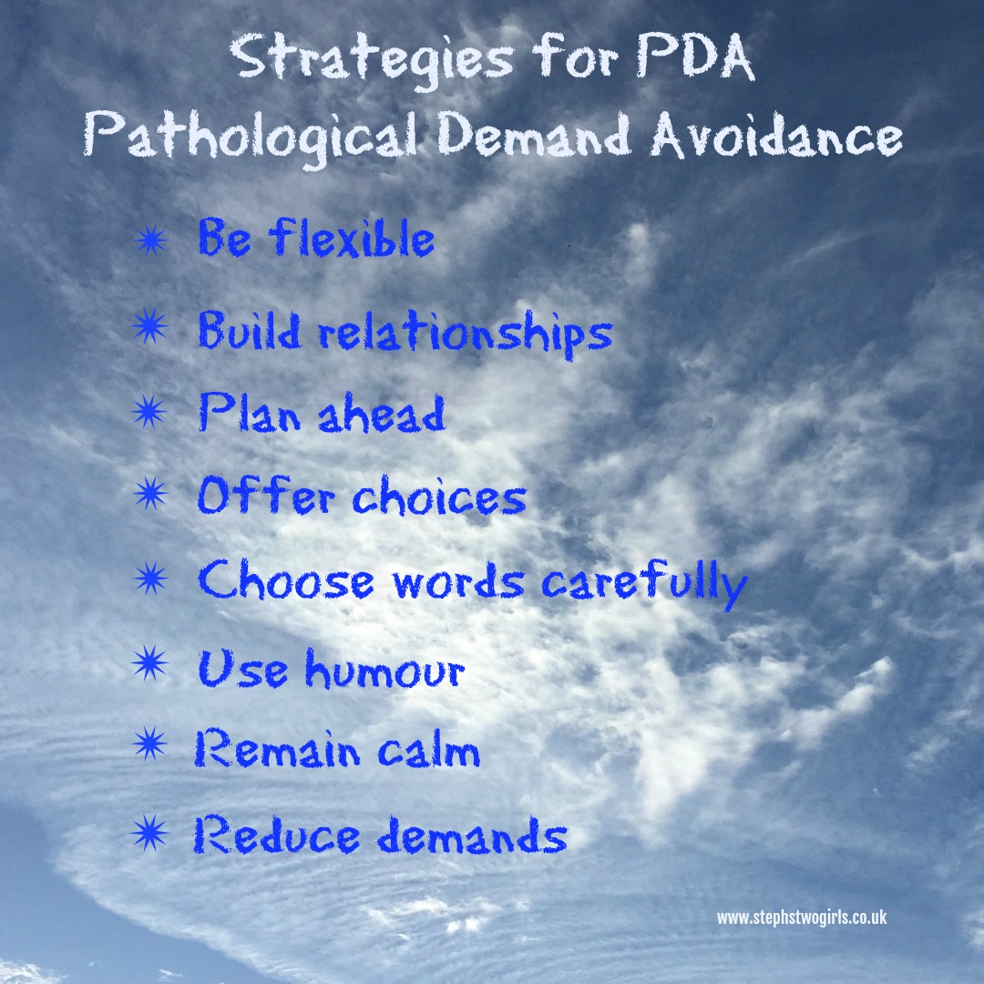 Challenging Behaviour and Pathological Demand Avoidance - Steph's Two Girls