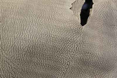 The Shoe AristoCat: Bestetti Shark hide Chukka boots