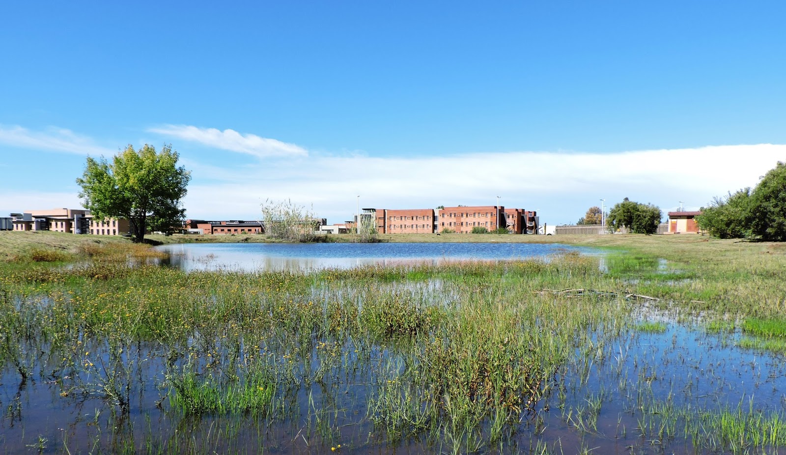 BIÓLOGO Y MERCENARIO: Rebuscando en las charcas