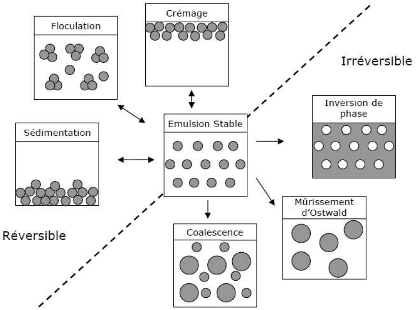 Tout savoir sur les émulsions, les émulsifiants, la stabilité ...