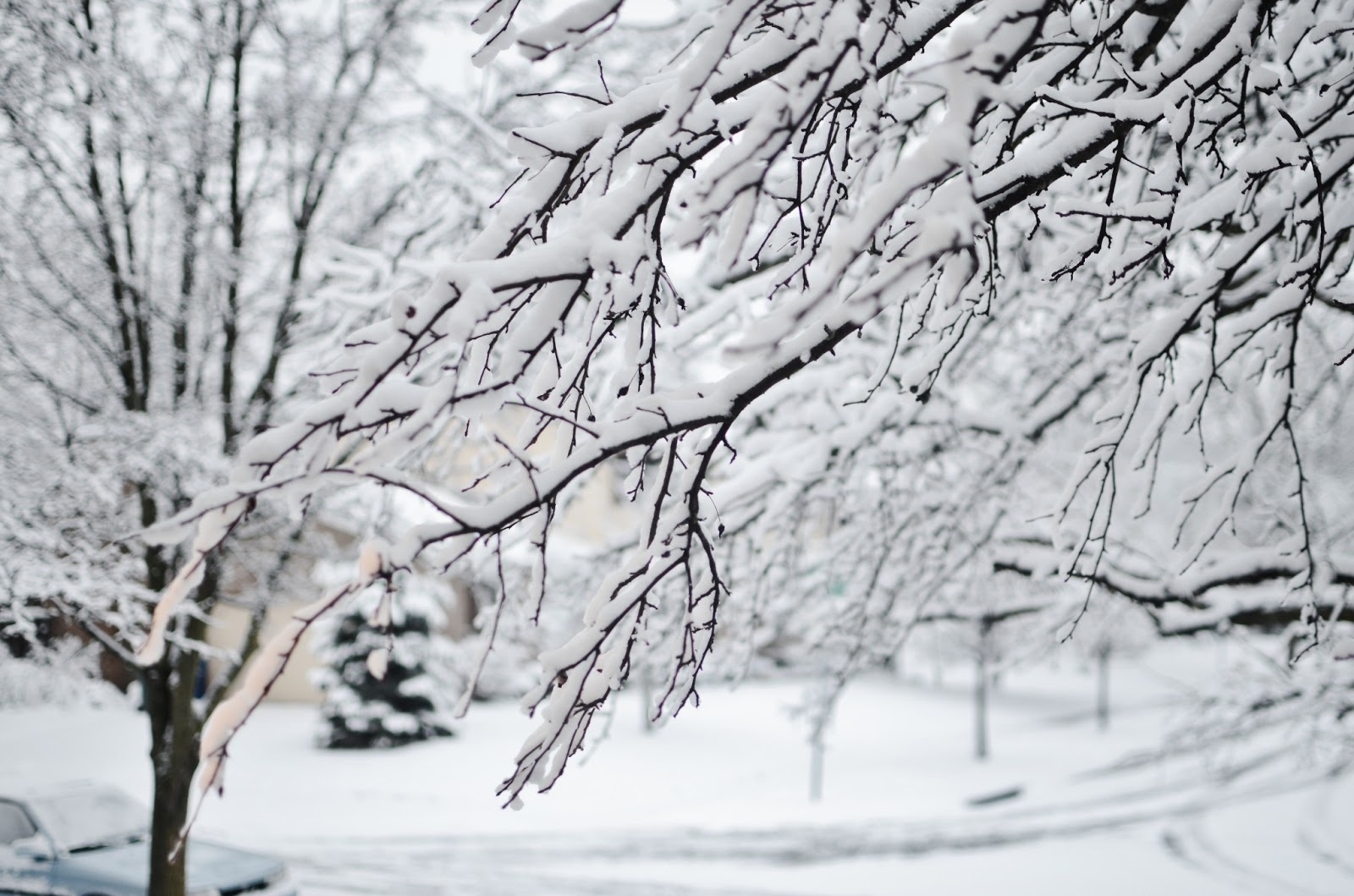 Adventures in Japan!: 'snowquestration' snow day. no school.
