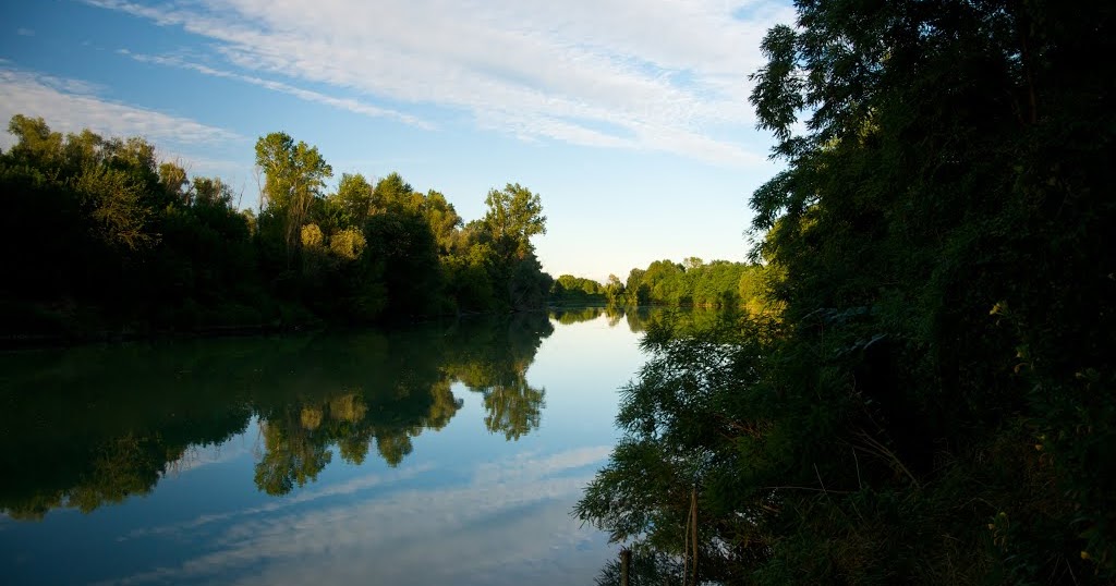 IL SALE DELLA TERRA: il Piave verso la foce... per Virginia