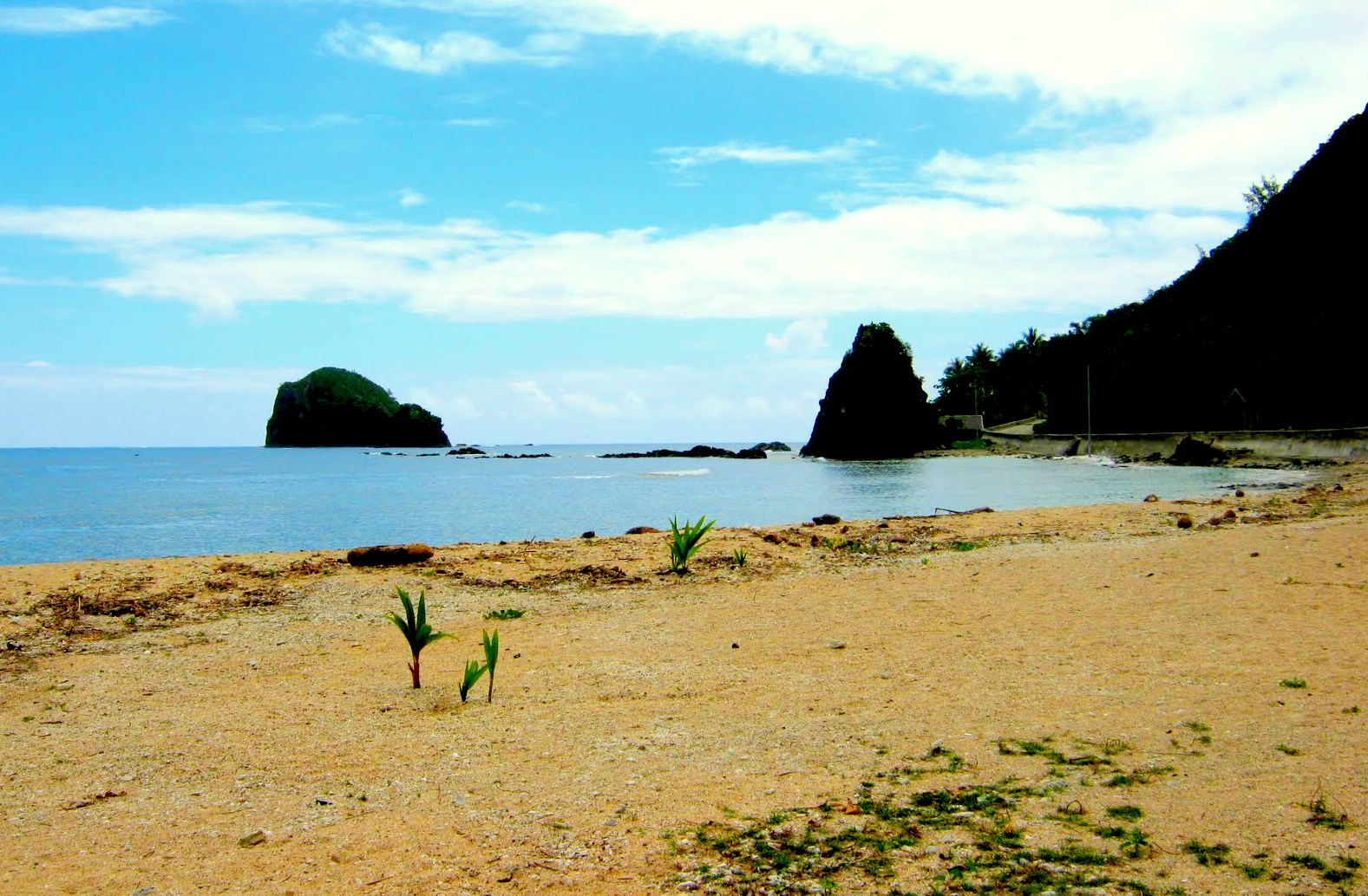Digisit Beach in Baler: Snorkeling Spot