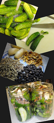 Bräuista: Cooking with Beer - Sea Hag Hopped Up Pickles