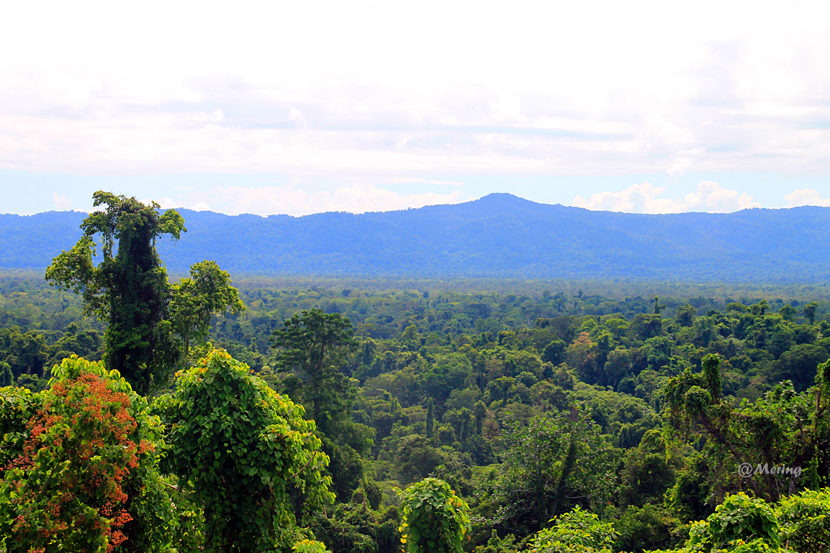 Kunanti Engkau di Sarmi - Alexander Mering