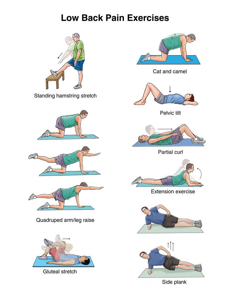 Pain free: Back pain - Нурууны өвдөлтөөс ангижрах нь №3