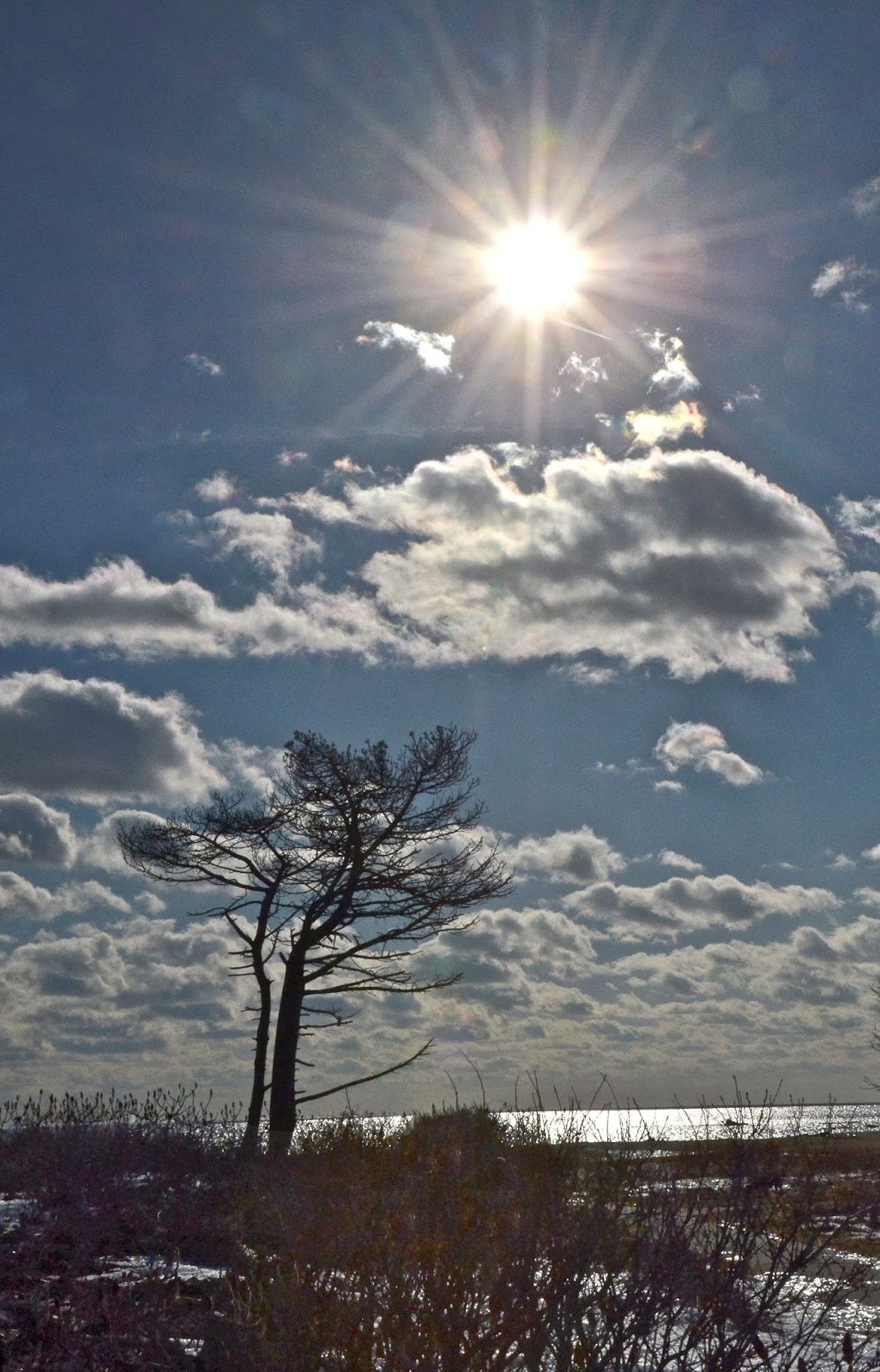 PSYCHOSCAPES: January 2014