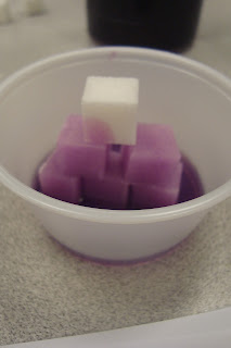 Sweet Life of First Grade: Sugar Cube Science Experiment