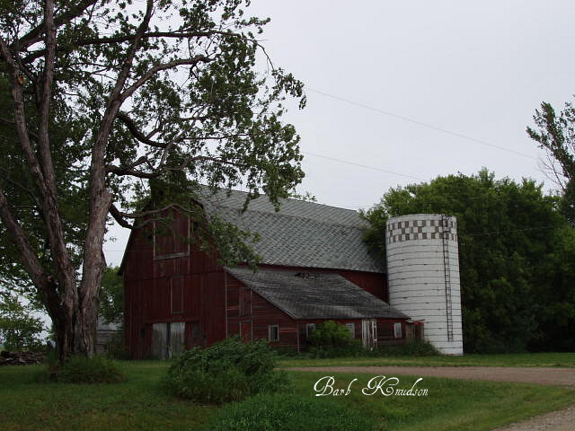 Grandma Barbs This and That: Minnesota Barns