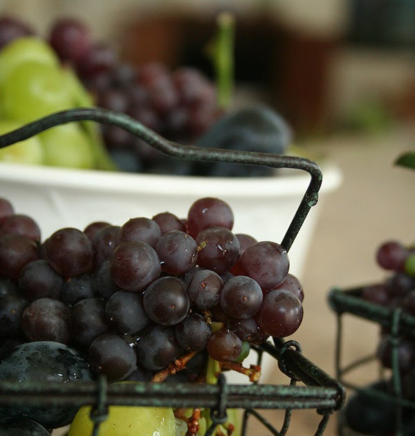 Charming the Birds from the Trees: Festal Learning Basket ...