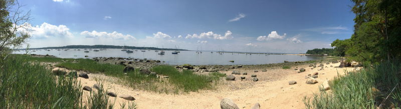 Fossils and Other Living Things: The Surprising Garvies Point Museum ...