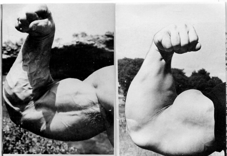 Casey Viator Forearms