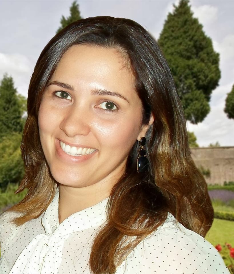 Blog do Varão: ELEIÇÕES 2014: EX-PREFEITO DE NOVA IORQUE VAI LANÇAR A ...