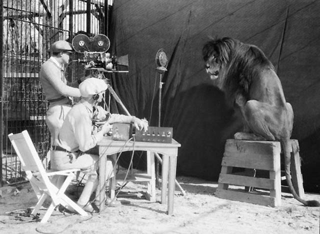 The Silver Screen Affair: The MGM Lion