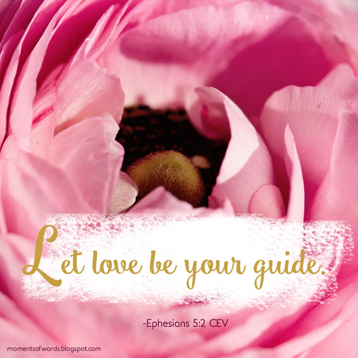 Let love be your guide! | Moments of words