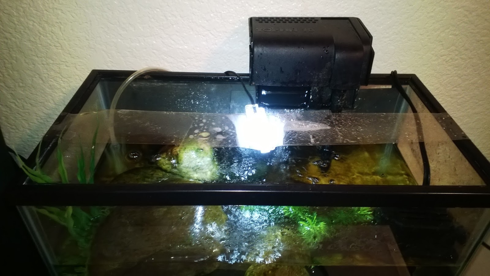 My Aquatic Insect Aquarium Set-Up – Keep Calm and Fly Fish
