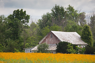 Michael Basista Photography: Local Beauty