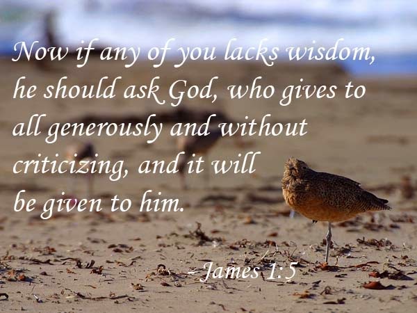 All Things Created: 2014