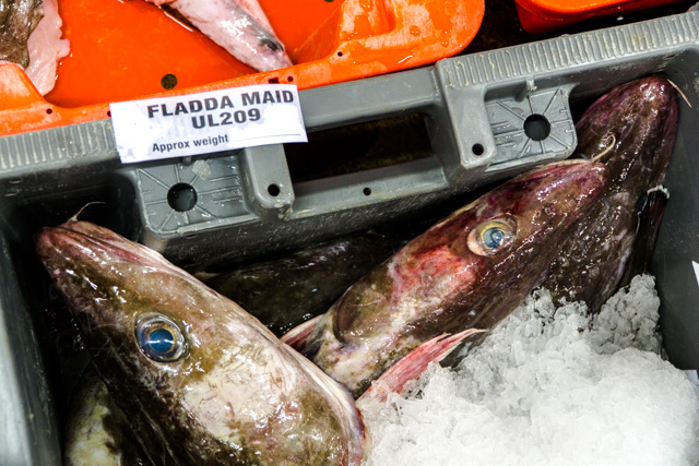 Through the Gaps! - Newlyn Fishing News: Fladda Maid and Crystal Sea ...