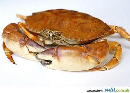 My Homeworks: Patinig na /a/ (may larawan)