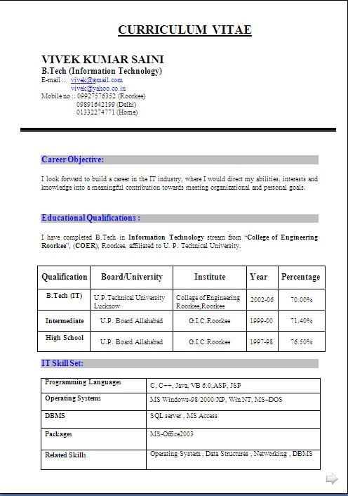 Sample CV Form