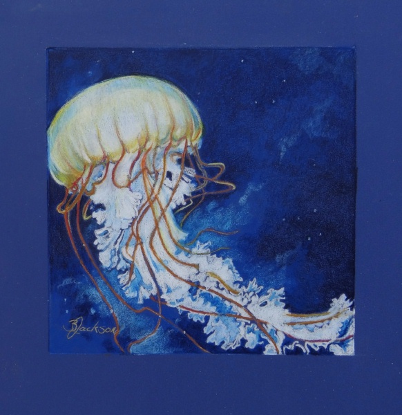 PAINTING WITH PENCIL: Pacific Sea Nettle