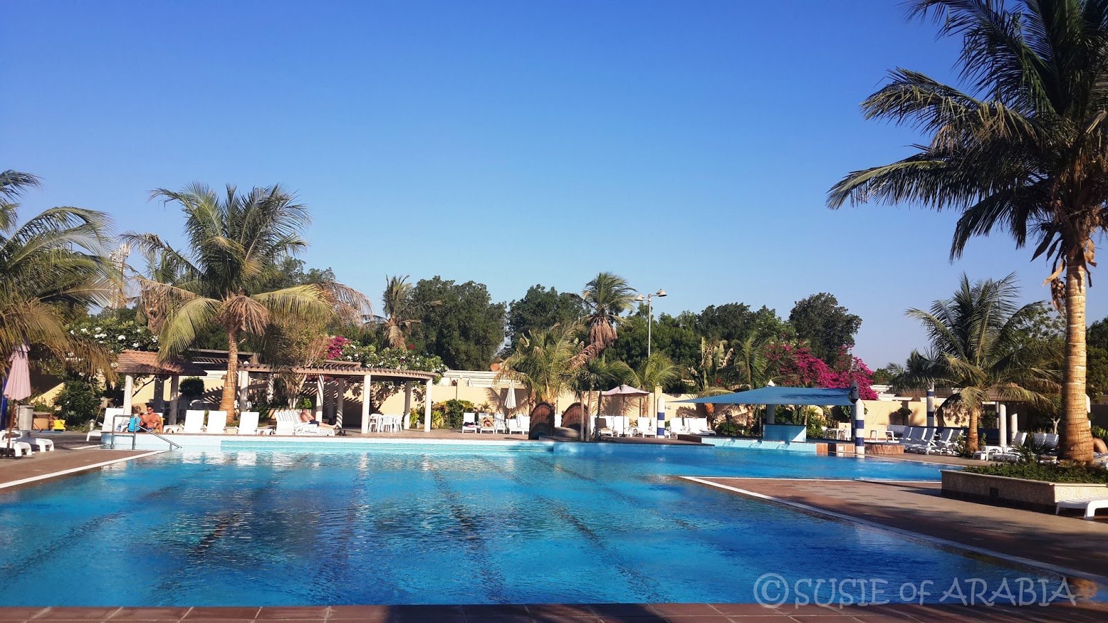 Jeddah Daily Photo: SkyWatch: Compound Pool