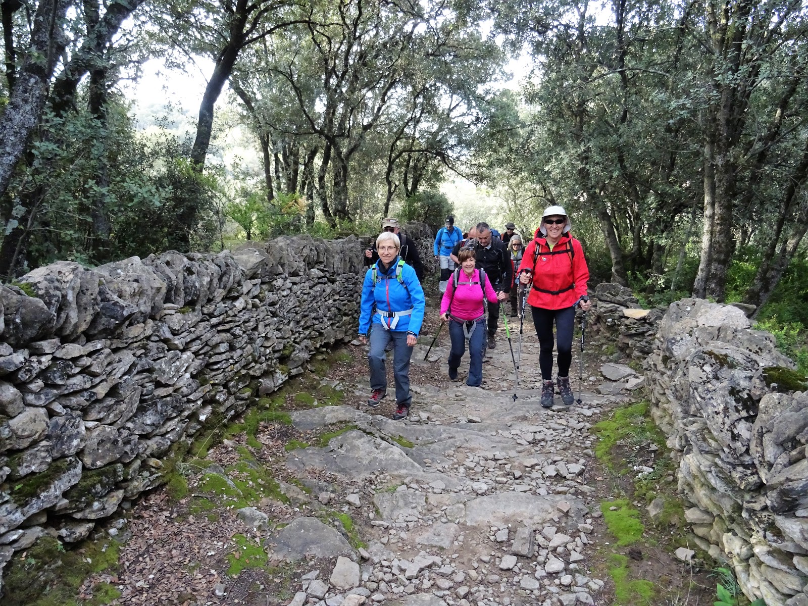 ARTÍCULOS, RESEÑAS LITERARIAS Y EXCURSIONES Carlos Bravo Suárez: VUELTA ...