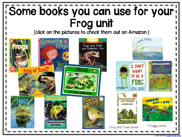 Fun with Frogs! - Teacher by the Beach