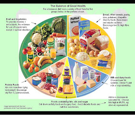 WORTH THE WEIGHT ***: THE 3 PS...PLATE DIVIDING, PORTION CONTROL ...