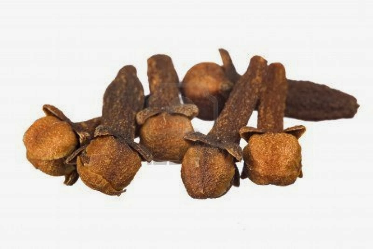 El clavo y sus estudios clínicos ~ Complementos Onco Naturales