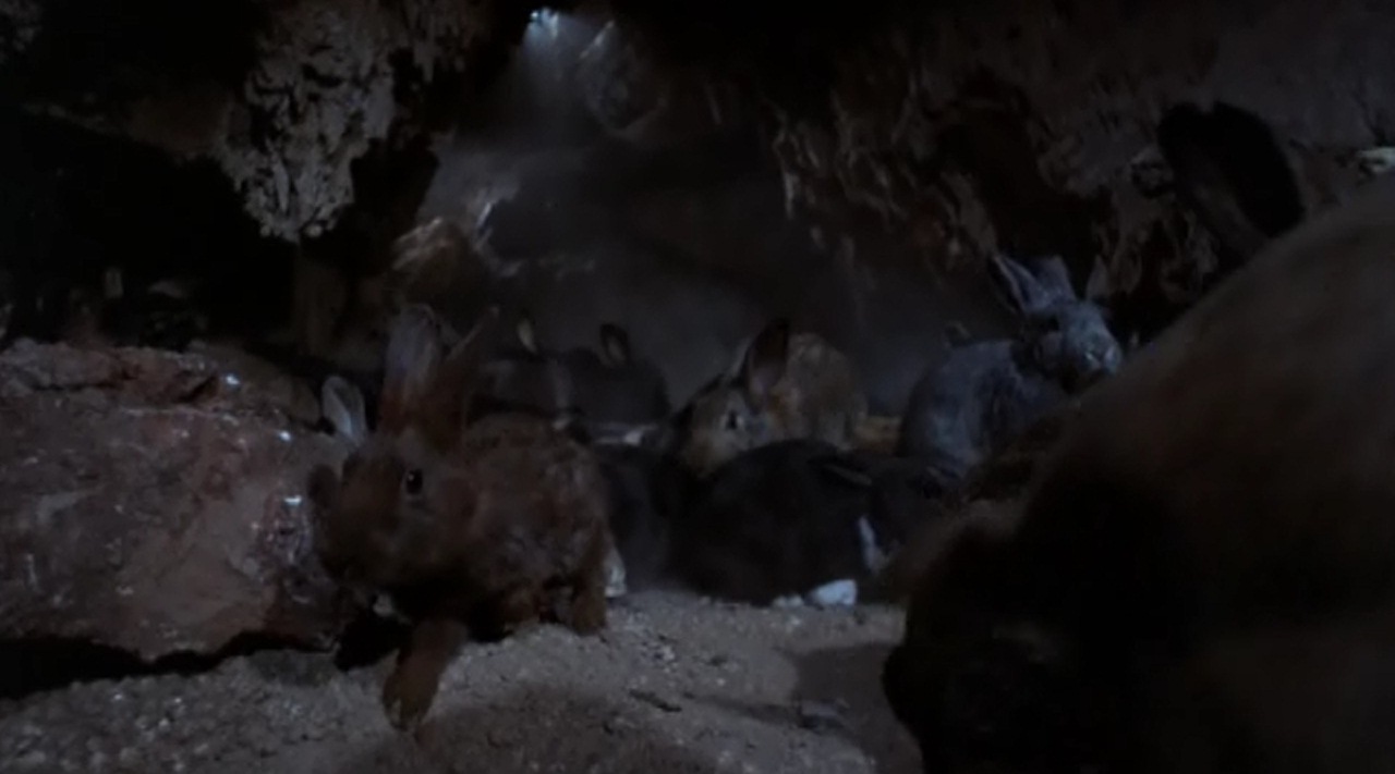 A Field Guide To Doomsday: Spawn Of Devastation Drive-In — 'Night Of ...