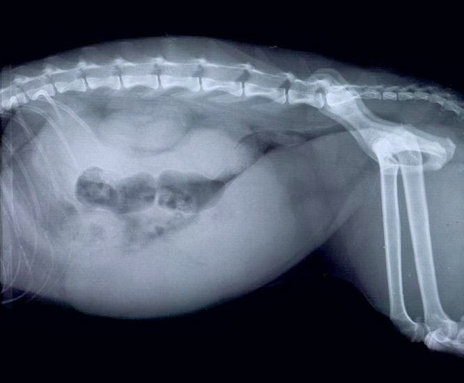 Health, Safety and the Environment (HSE): The Essential Knowledge On ...