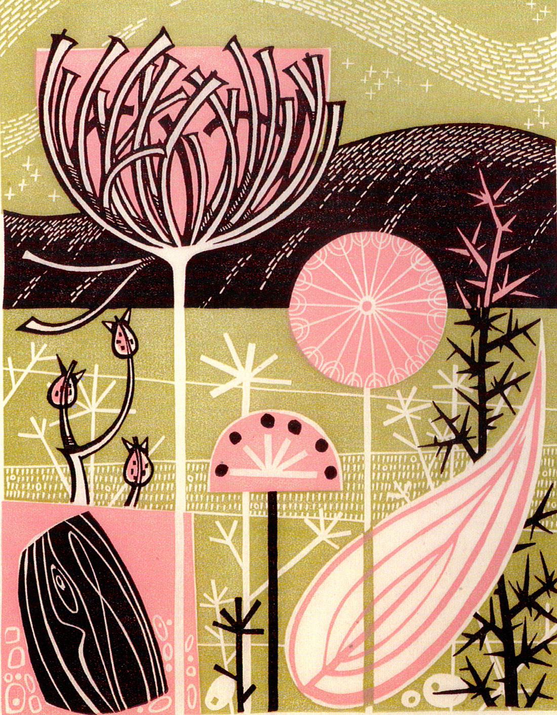 paradis express: Angie Lewin